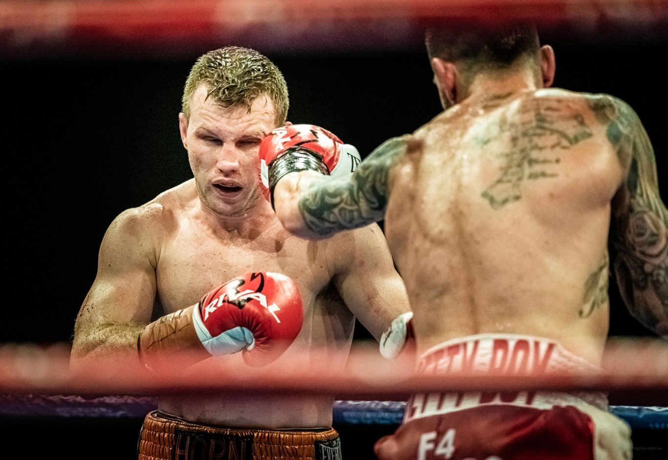 Boxing Promoter in Australia | Dynamic